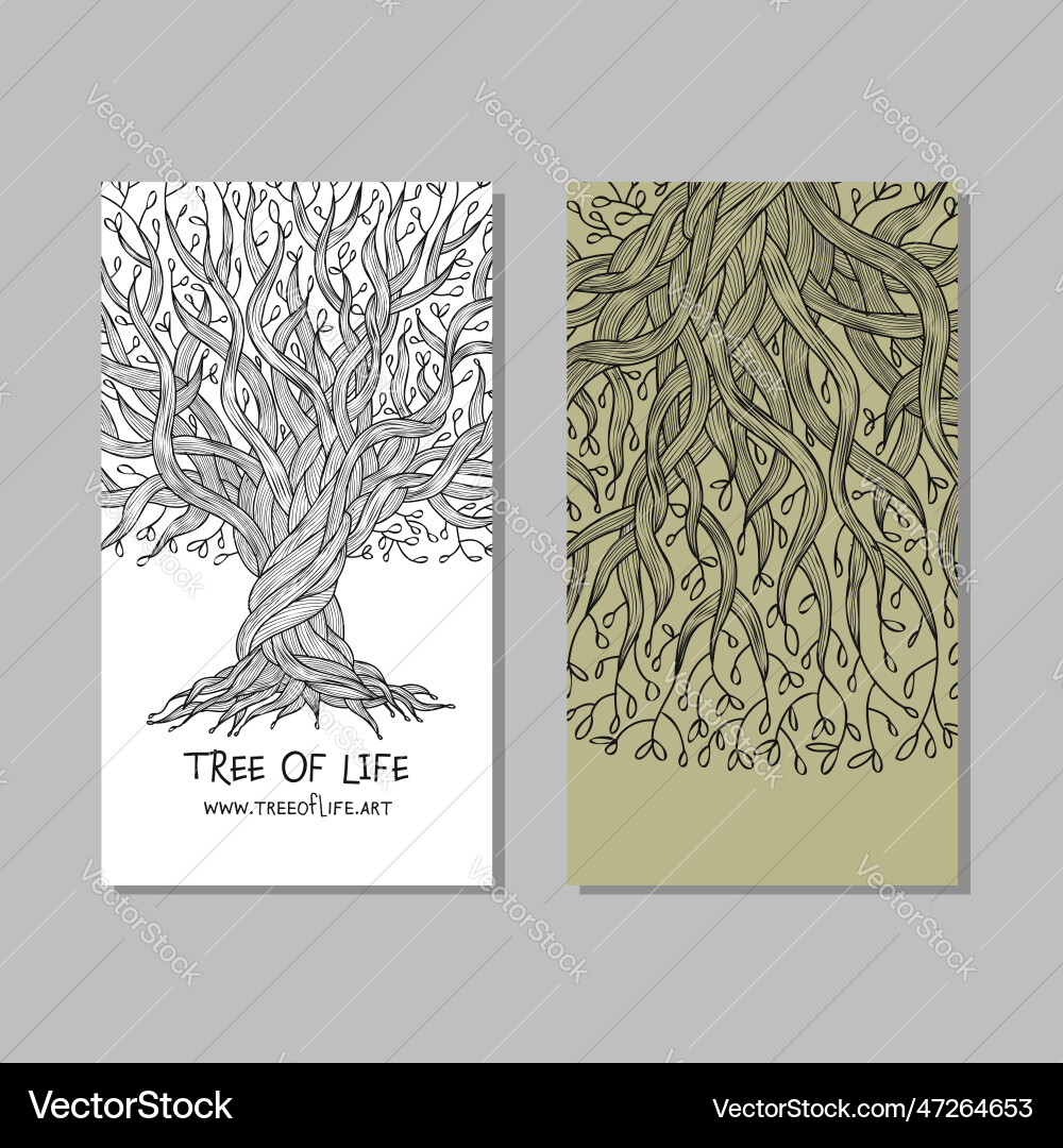 Vintage old olive tree with roots concept art Vector Image