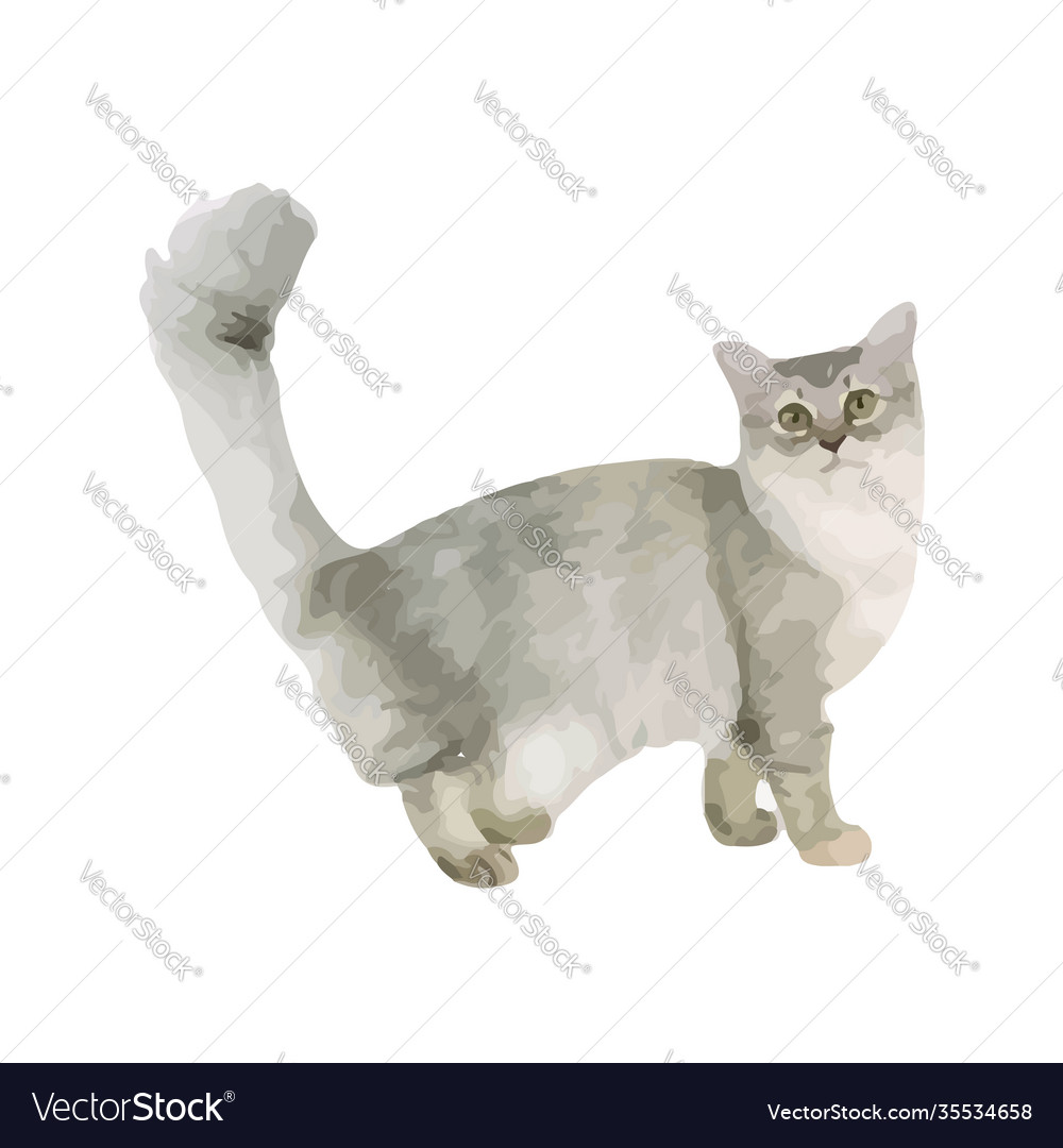 Cat Royalty Free Vector Image - VectorStock