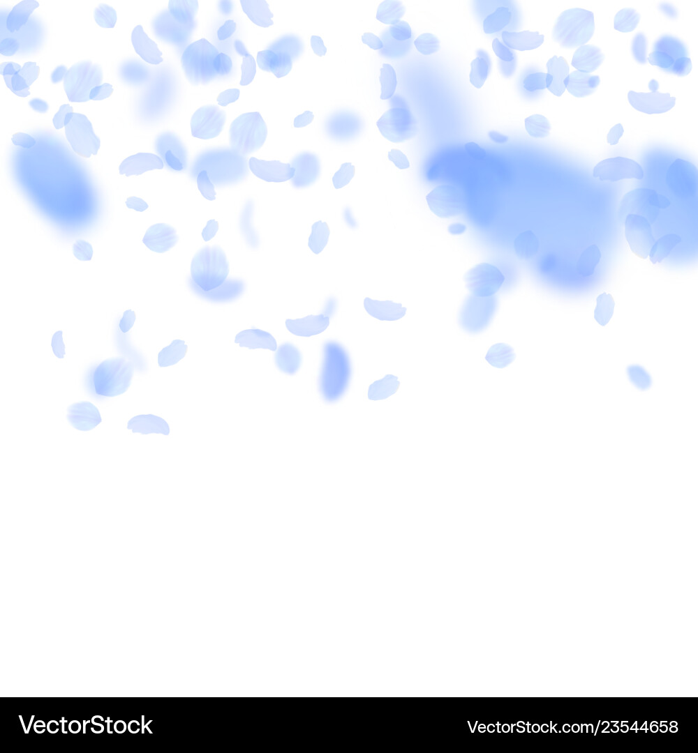 Dark blue flower petals falling down pleasant rom Vector Image