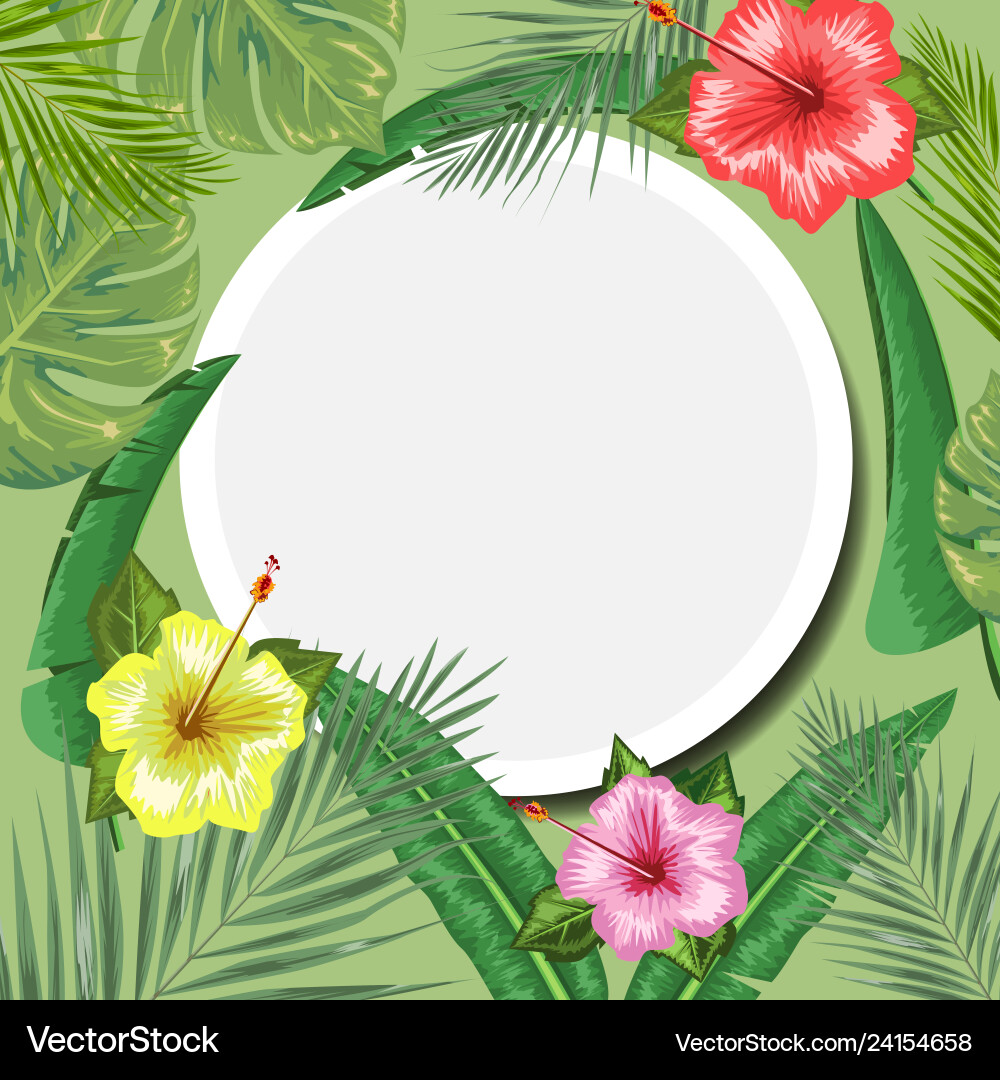 Tropical backdrop with frame or border made of Vector Image