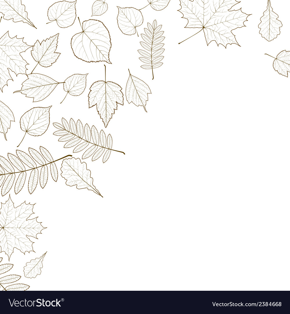 Autumn color leaves background template Royalty Free Vector