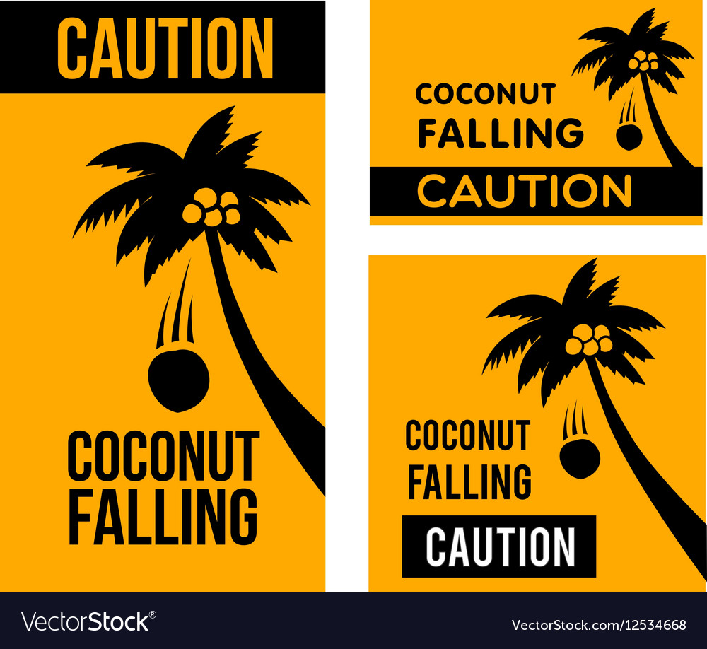 Falling coconuts caution Royalty Free Vector Image Falling coconuts caution Royalty Free Vector Image