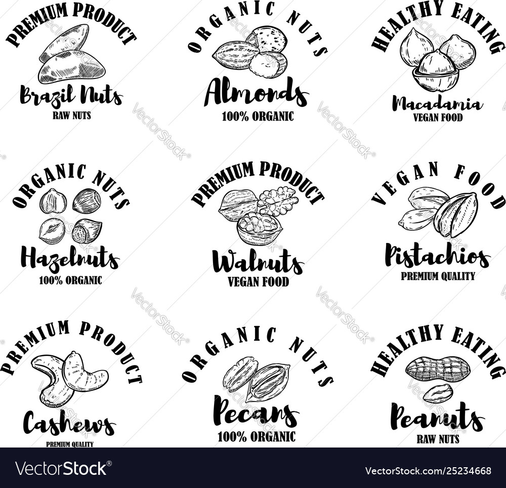 Set raw nuts labels design element for logo Vector Image Set raw nuts labels design element for logo Vector Image