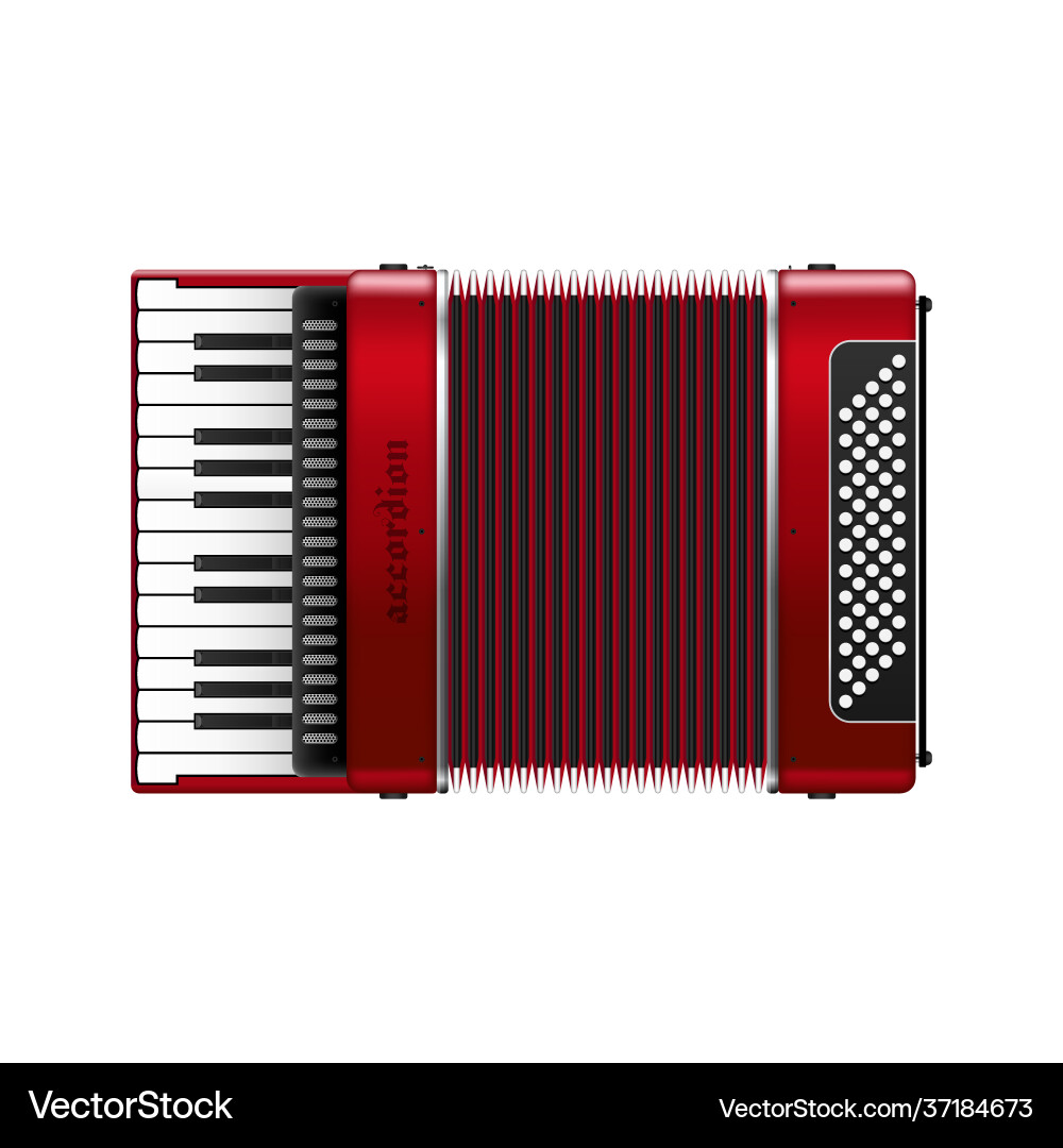 Realistic accordion isolated on white background Vector Image