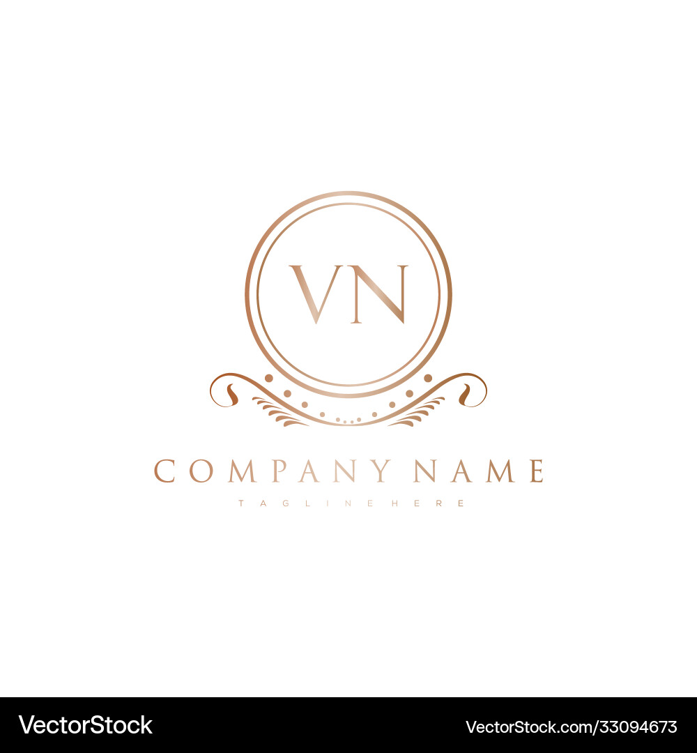 Vn letter initial with royal luxury logo template Vector Image