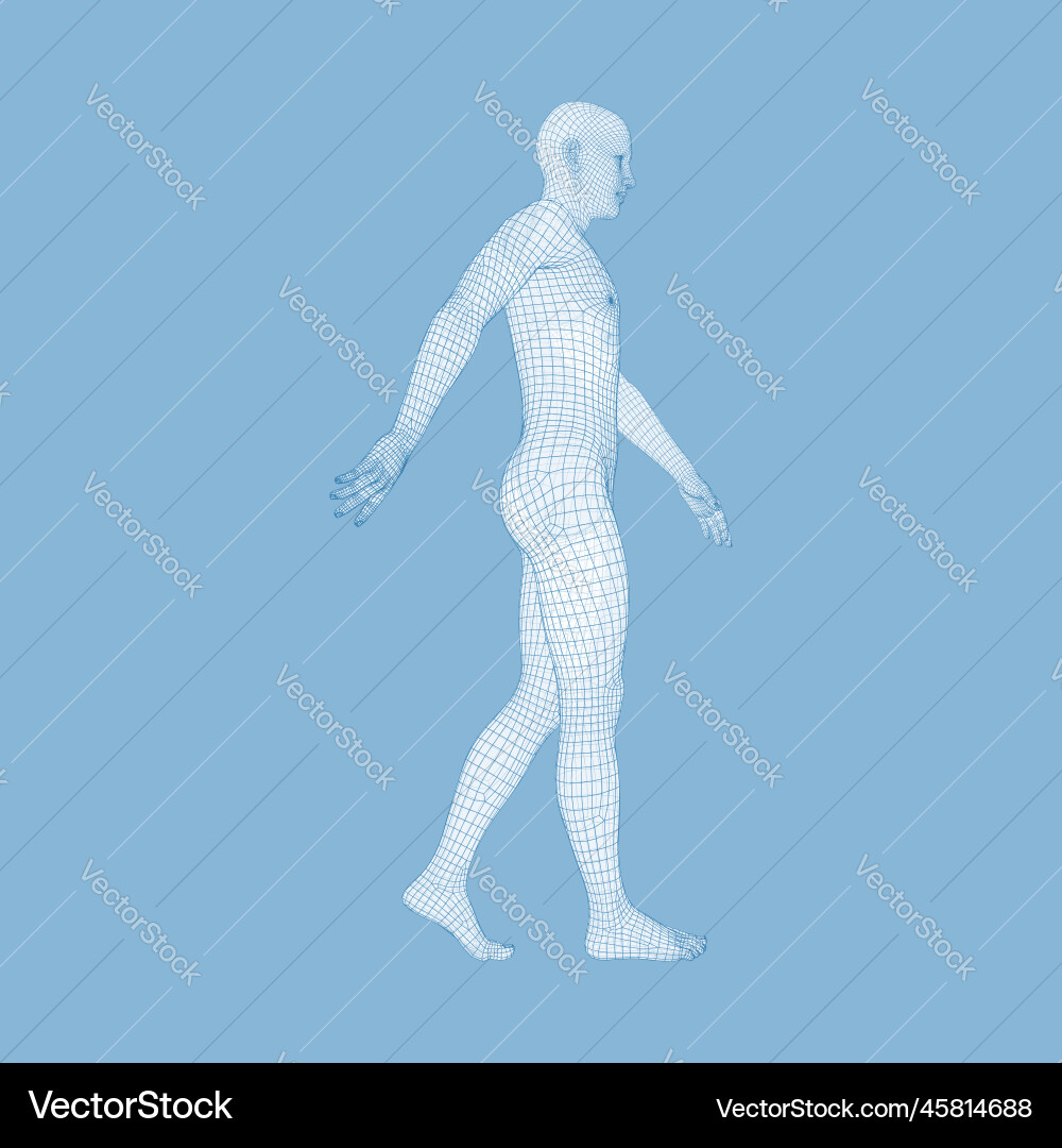 Walking man 3d human body model geometric design Vector Image