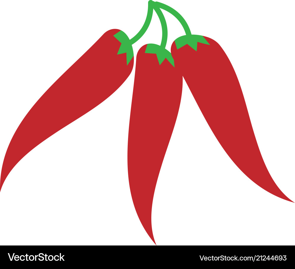 Red hot chilli Royalty Free Vector Image - VectorStock