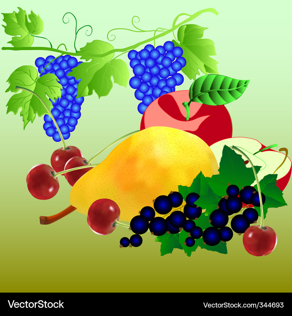 Set of fruits Royalty Free Vector Image - VectorStock