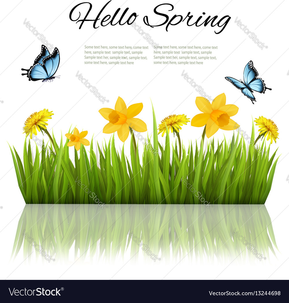 Spring nature background with green grass flowers Vector Image