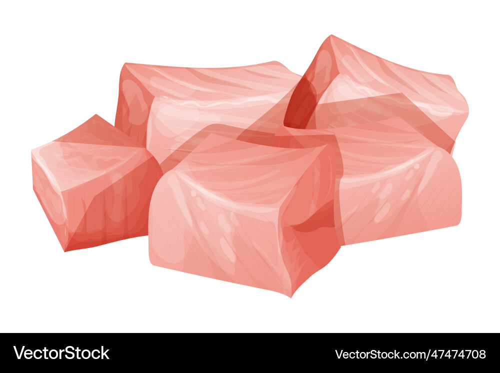 Chicken pieces cubes raw meat chopped sclices Vector Image