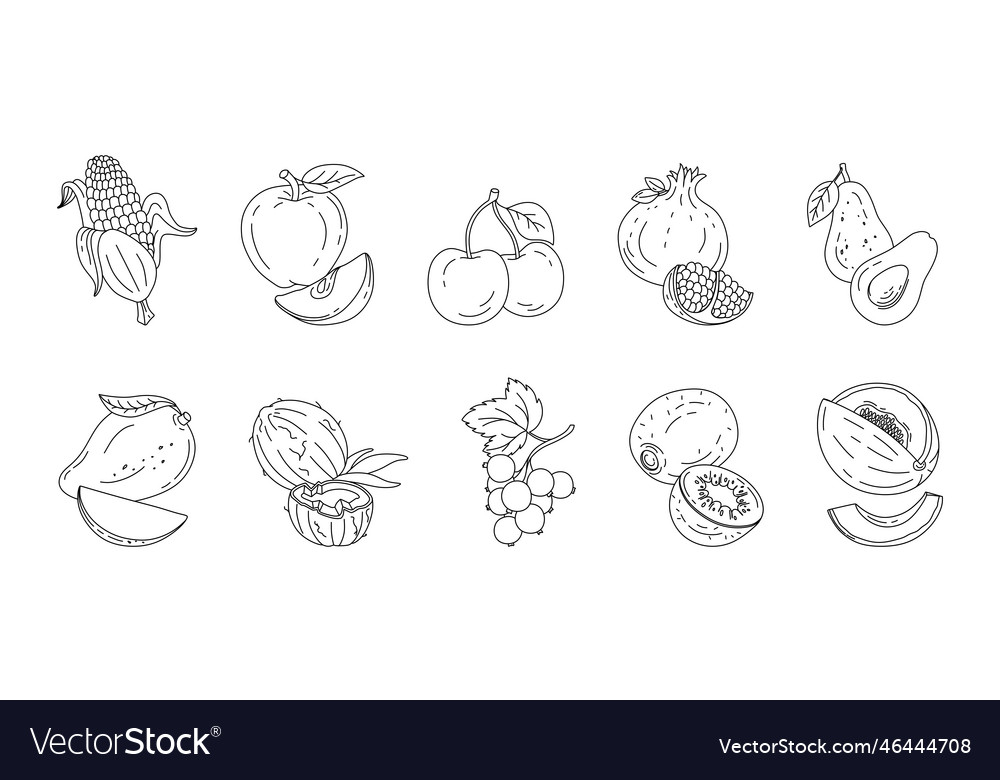 Fruits and berries doodle set black white Vector Image
