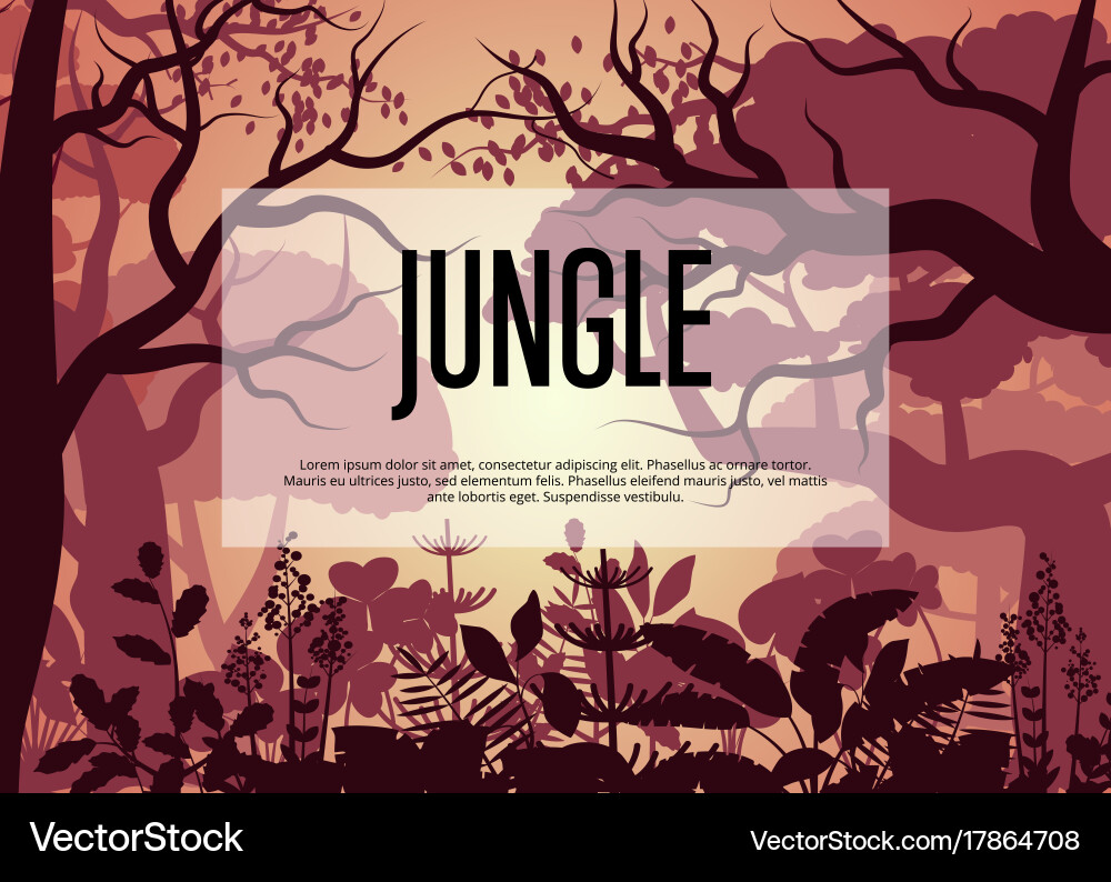 Morning tropical jungle background Royalty Free Vector Image