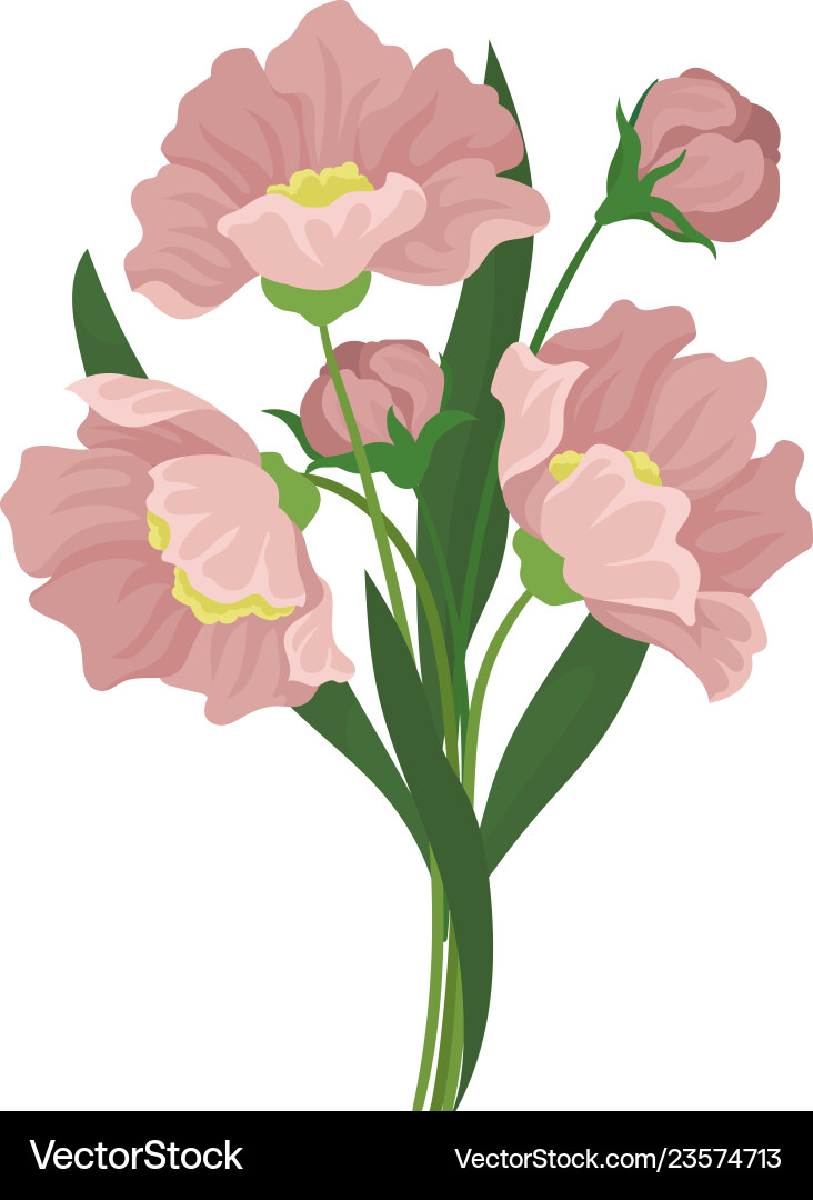 Beautiful spring flowers with pink petals Vector Image
