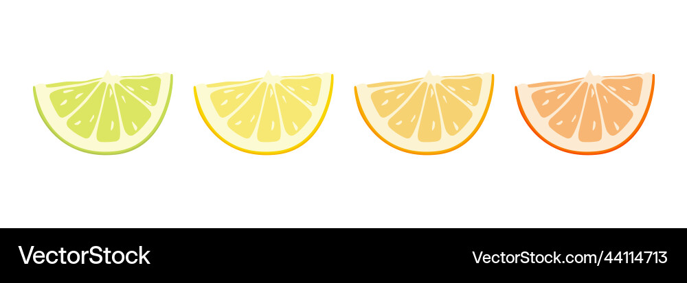 Citrus fruit icon set - yellow lemon green Vector Image