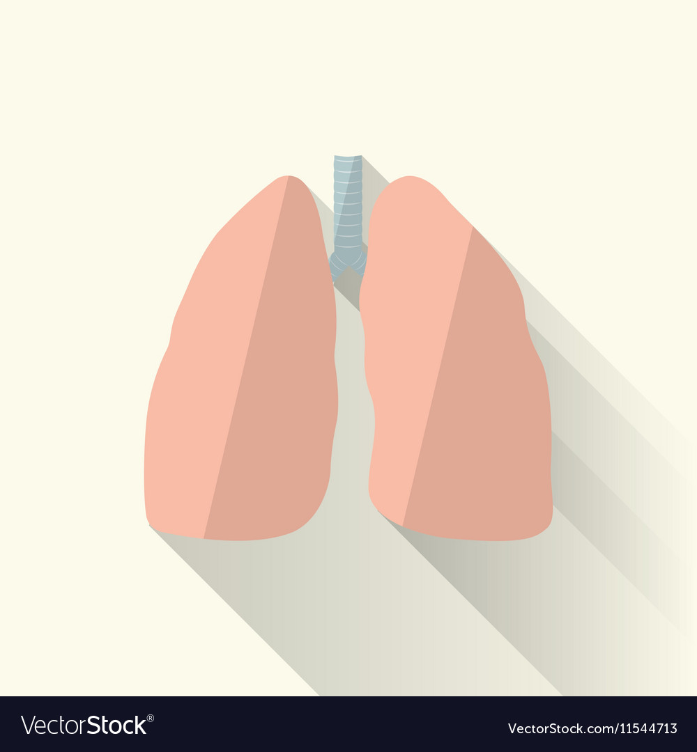 Human langs flat Royalty Free Vector Image - VectorStock