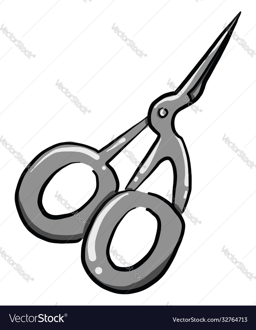 Scissors on white background Royalty Free Vector Image