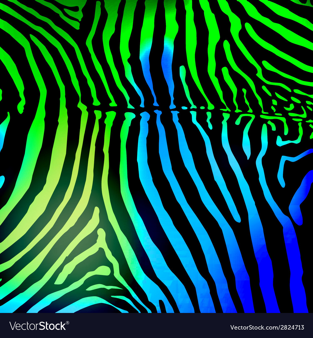 Zebra background Royalty Free Vector Image - VectorStock