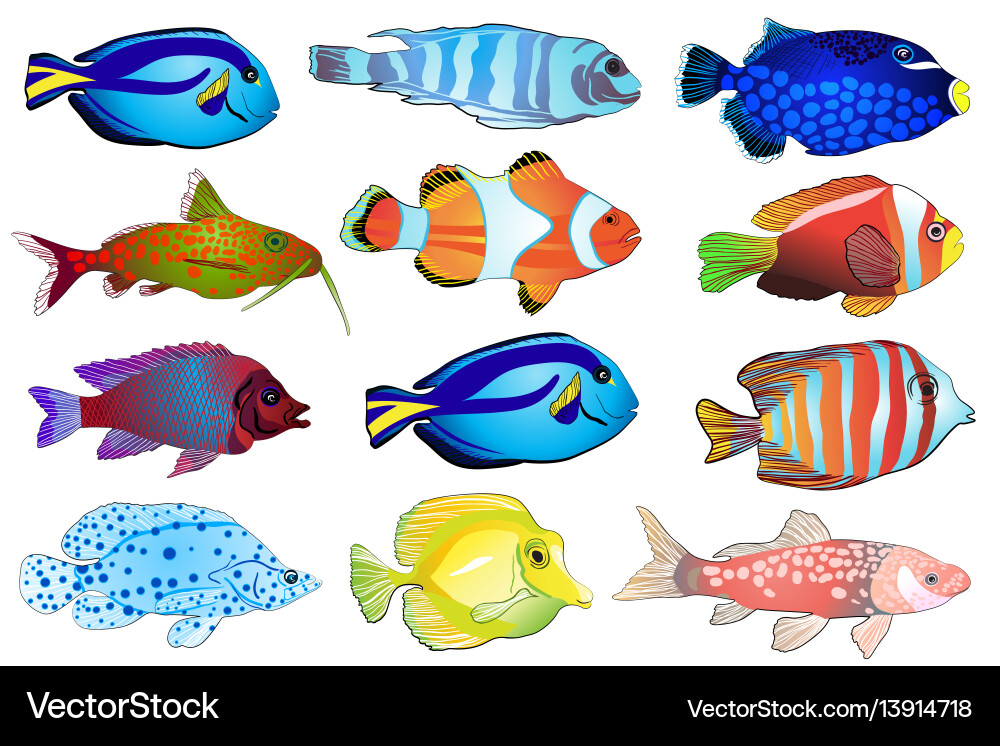 Set of aquarium fish Royalty Free Vector Image