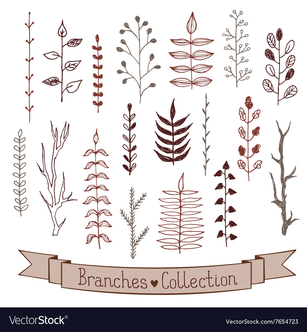 Doodle branches Royalty Free Vector Image - VectorStock