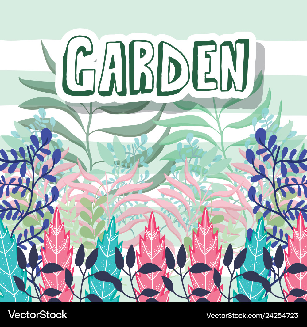 Nature plants branches leaves in the garden Vector Image
