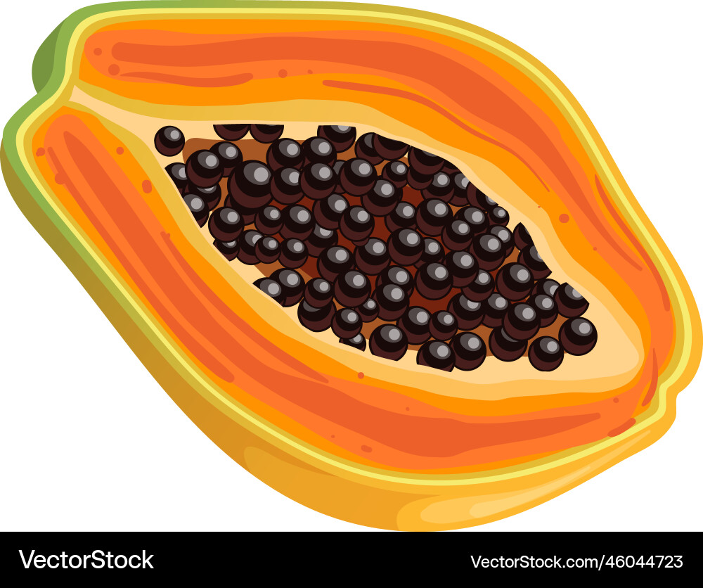 Papaya cut cartoon Royalty Free Vector Image - VectorStock