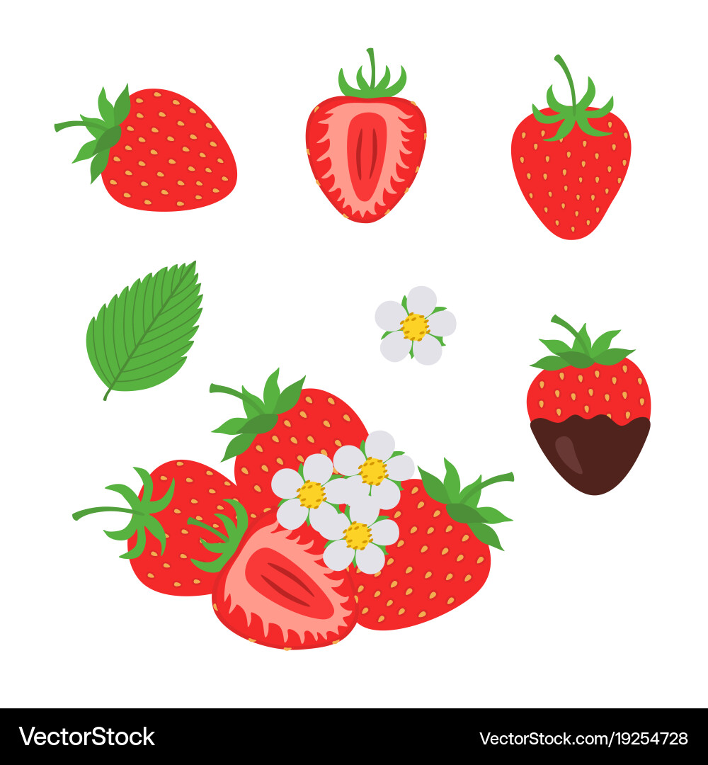 Red berry strawberry and a half strawberry set Vector Image