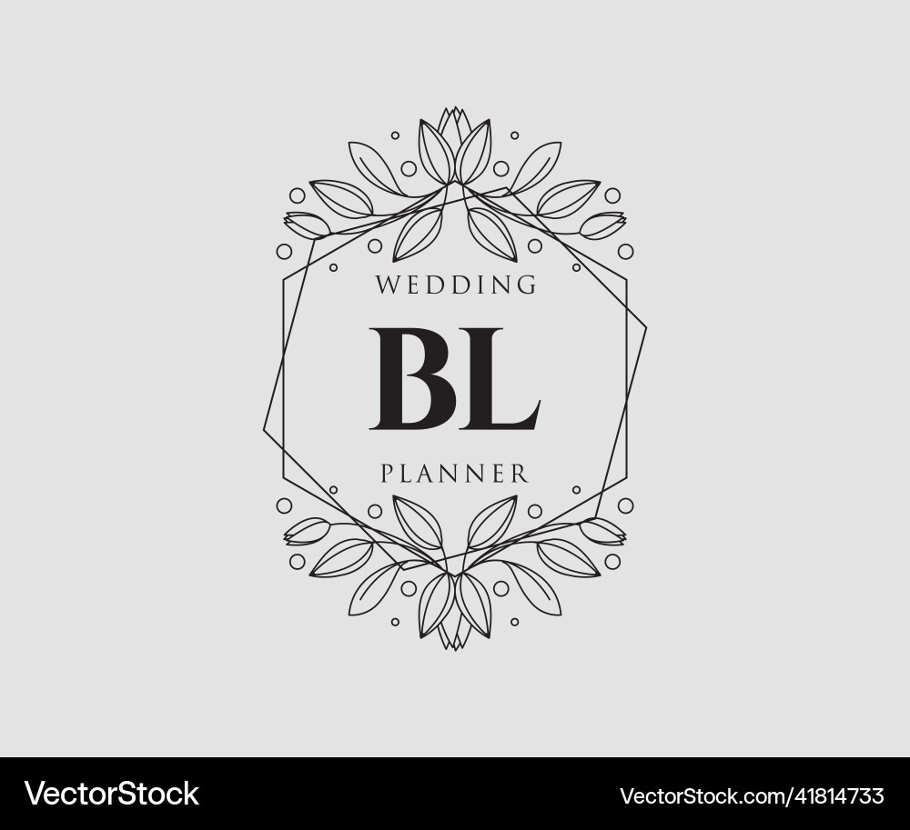 Bl initials letter wedding monogram logos Vector Image