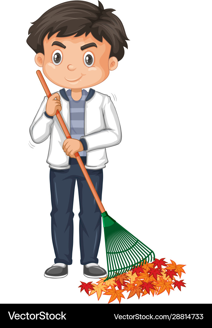 Cute boy raking leaves on white background Vector Image
