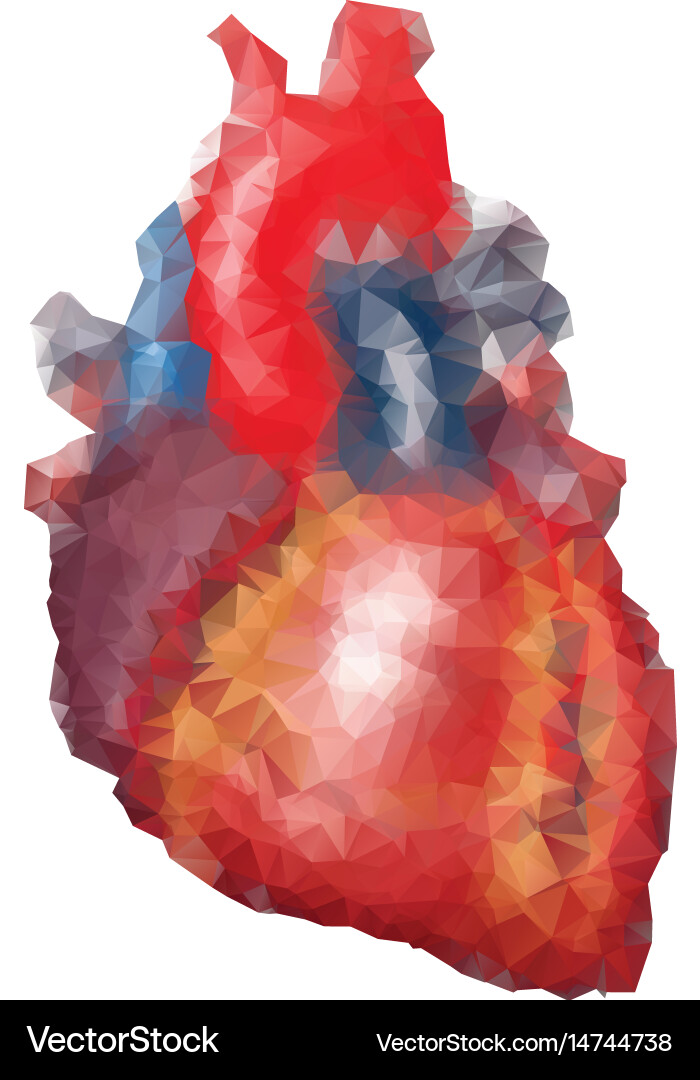 Polygonal heart styling anatomy Royalty Free Vector Image