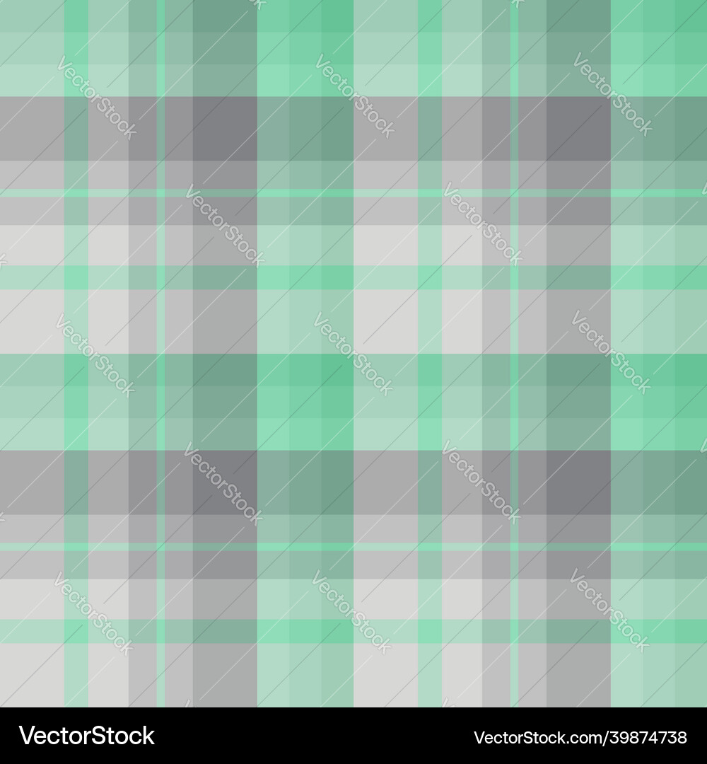 Seamless pattern in wonderful grey and mint green Vector Image