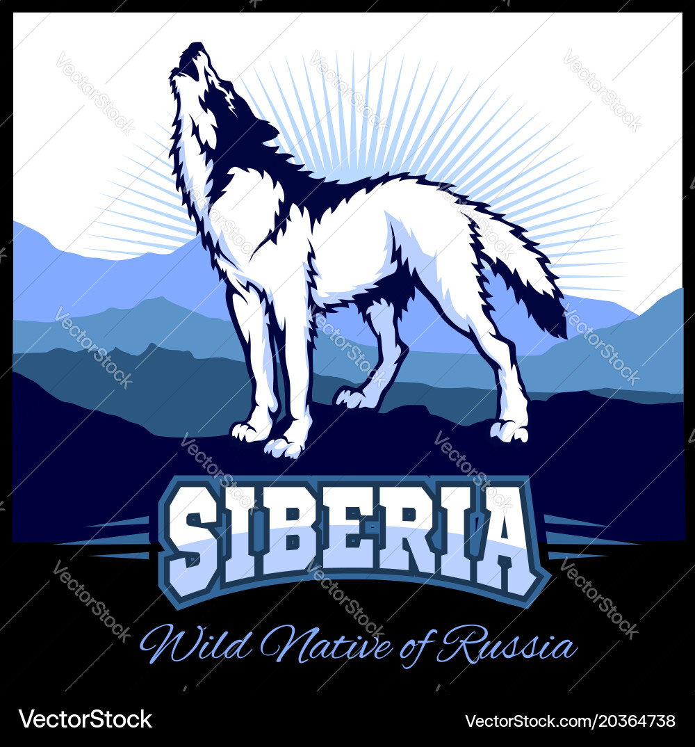 Siberia - a wolf on the background of plain Vector Image