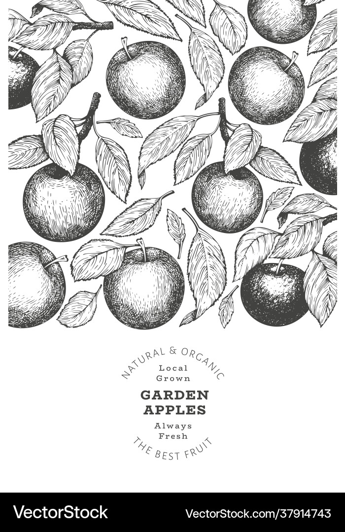 Apple branch design template hand drawn garden Vector Image