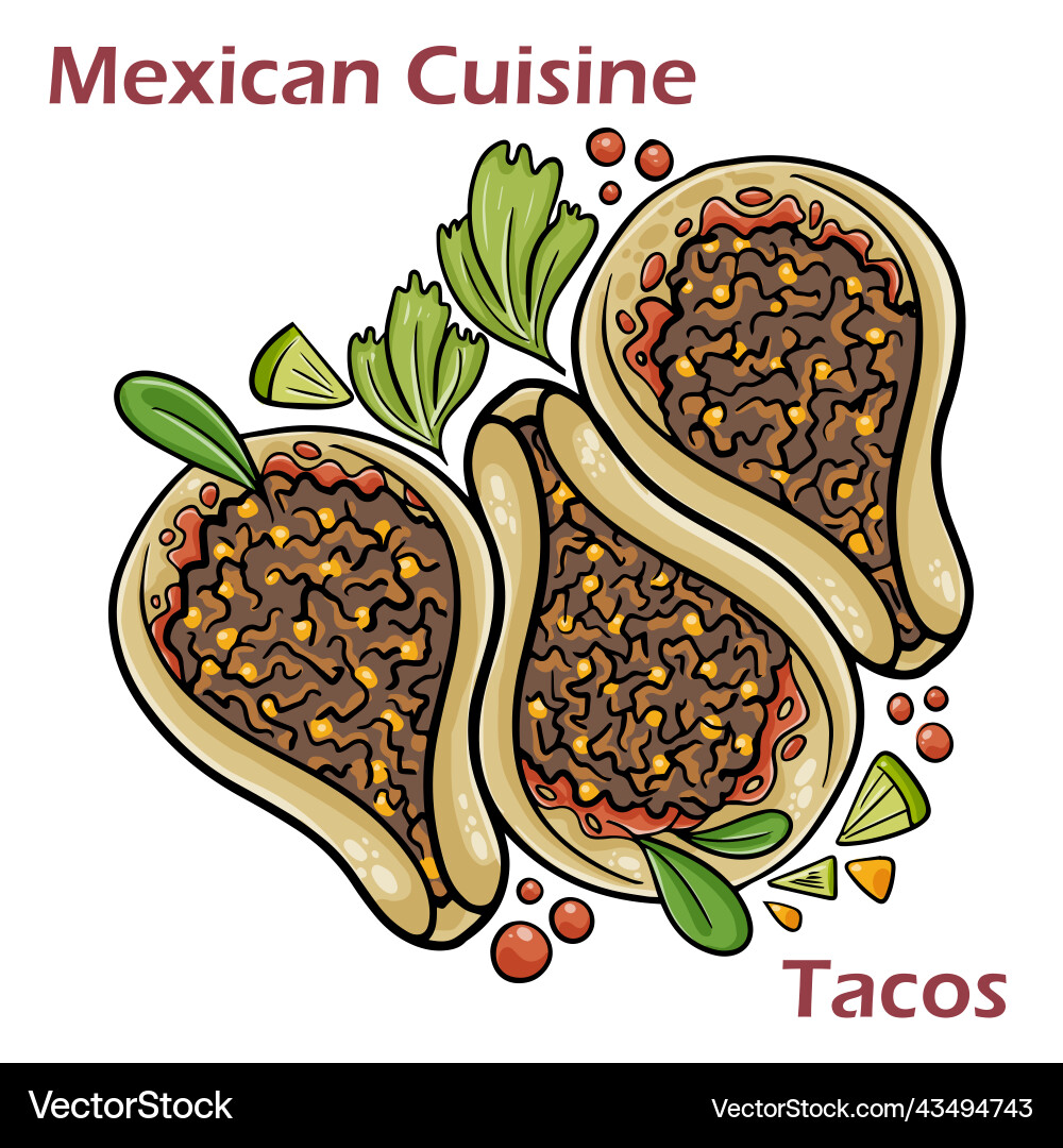 Mexican tacos with beef tomatoes avocado chilli Vector Image