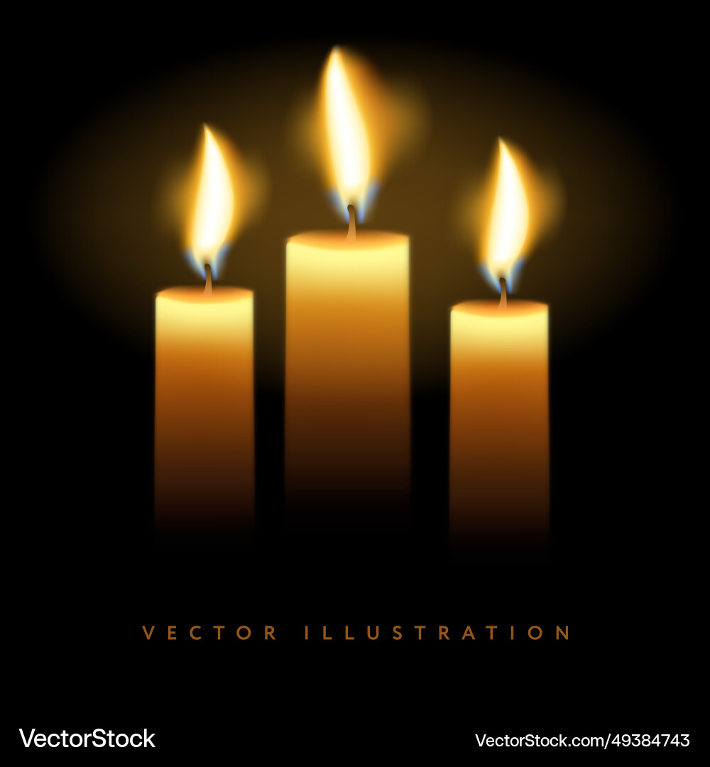 Set of burning candles Royalty Free Vector Image