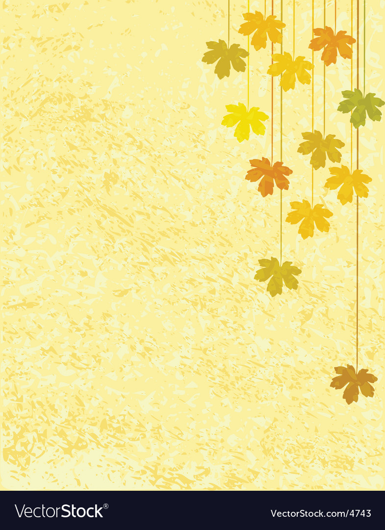 Straight maple Royalty Free Vector Image - VectorStock