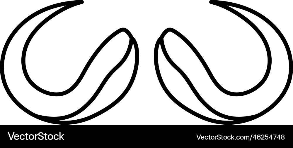Buffalo horn animal line icon Royalty Free Vector Image
