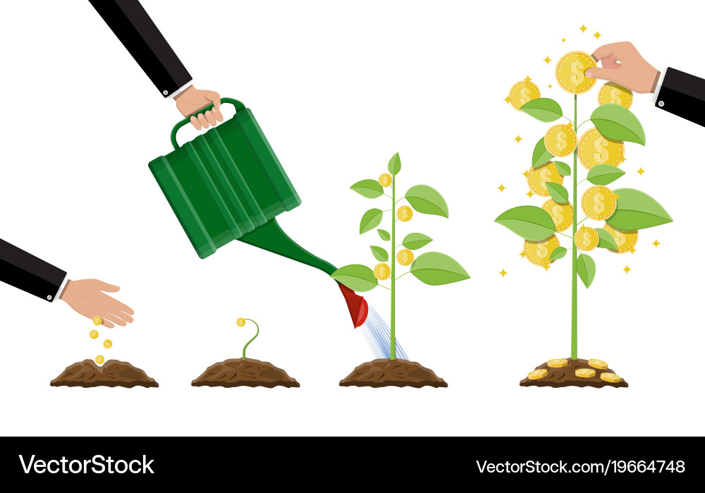 Growing money tree stages of Royalty Free Vector Image