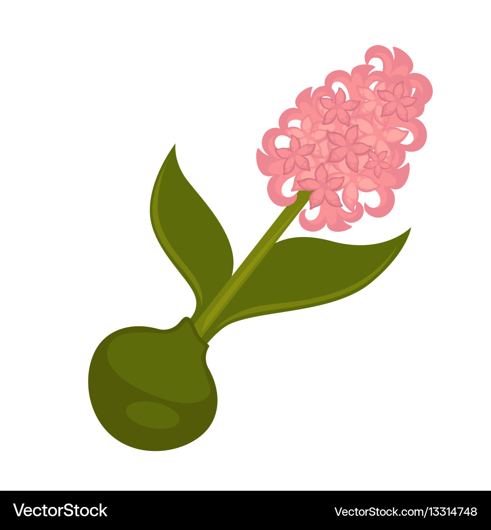Spring pink syringa flower with green stem Vector Image