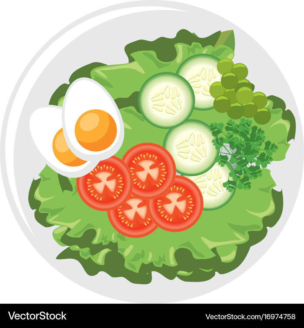 Gourmet food design Royalty Free Vector Image - VectorStock