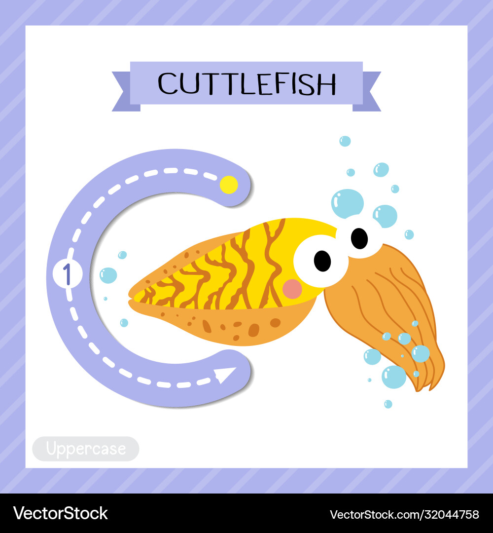 Letter c uppercase tracing yellow cuttlefish Vector Image