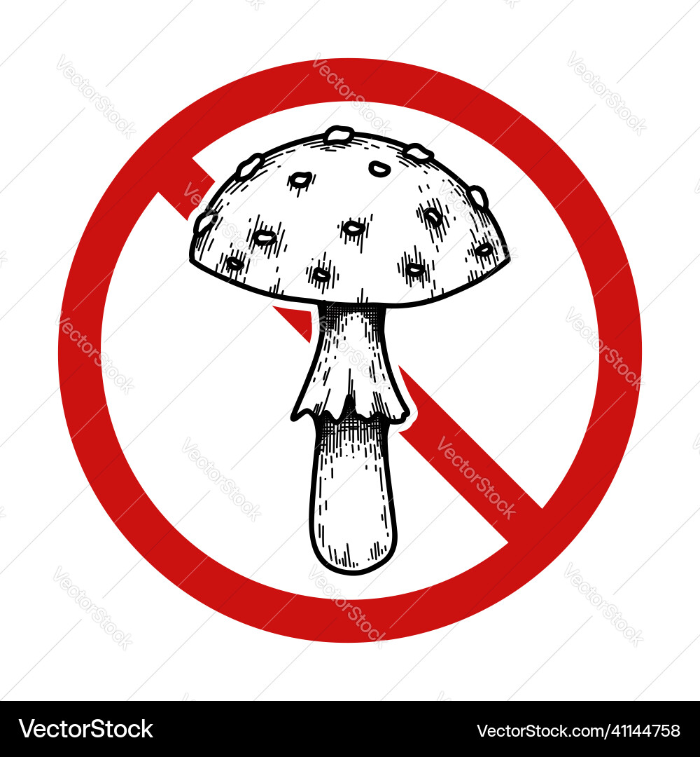 Poisonous Mushroom Warning Sign Royalty Free Vector Image