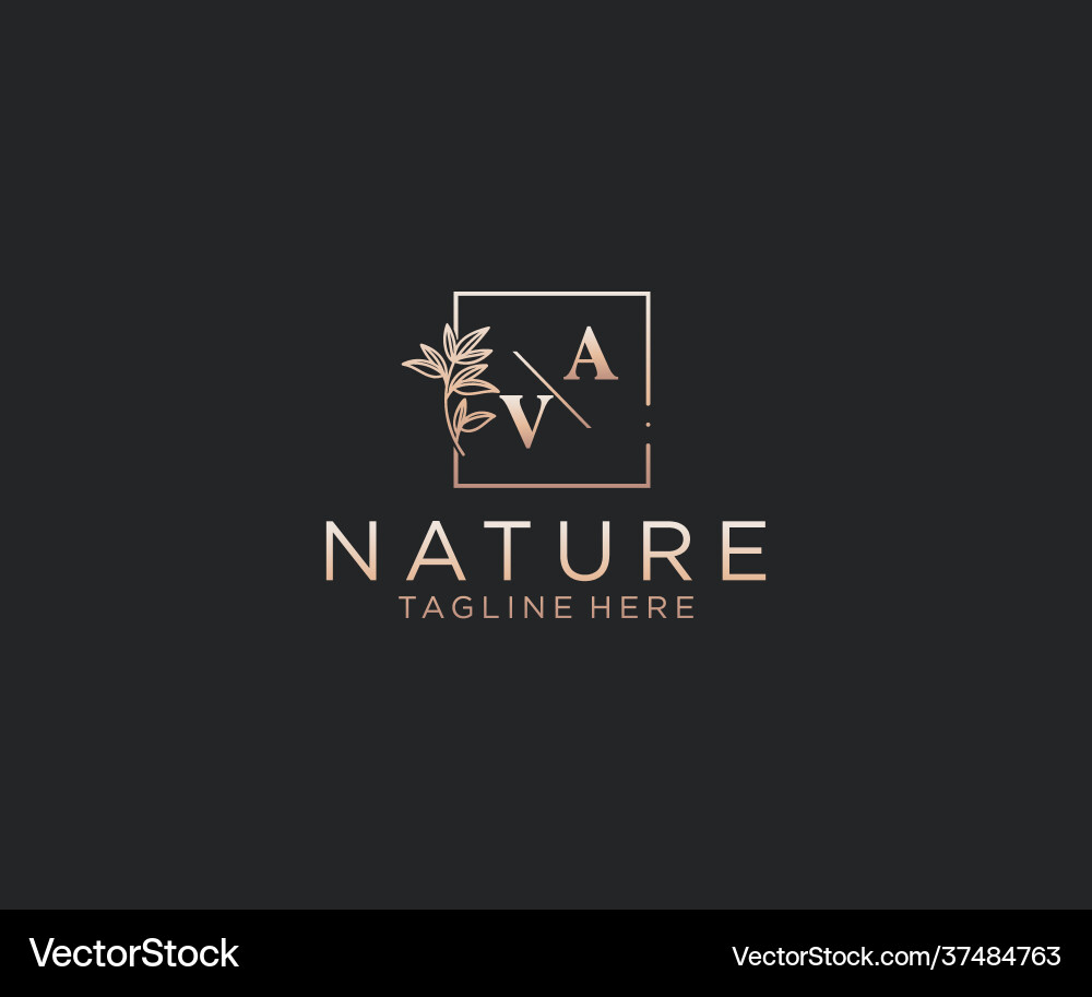 Initial av letters beautiful floral feminine Vector Image