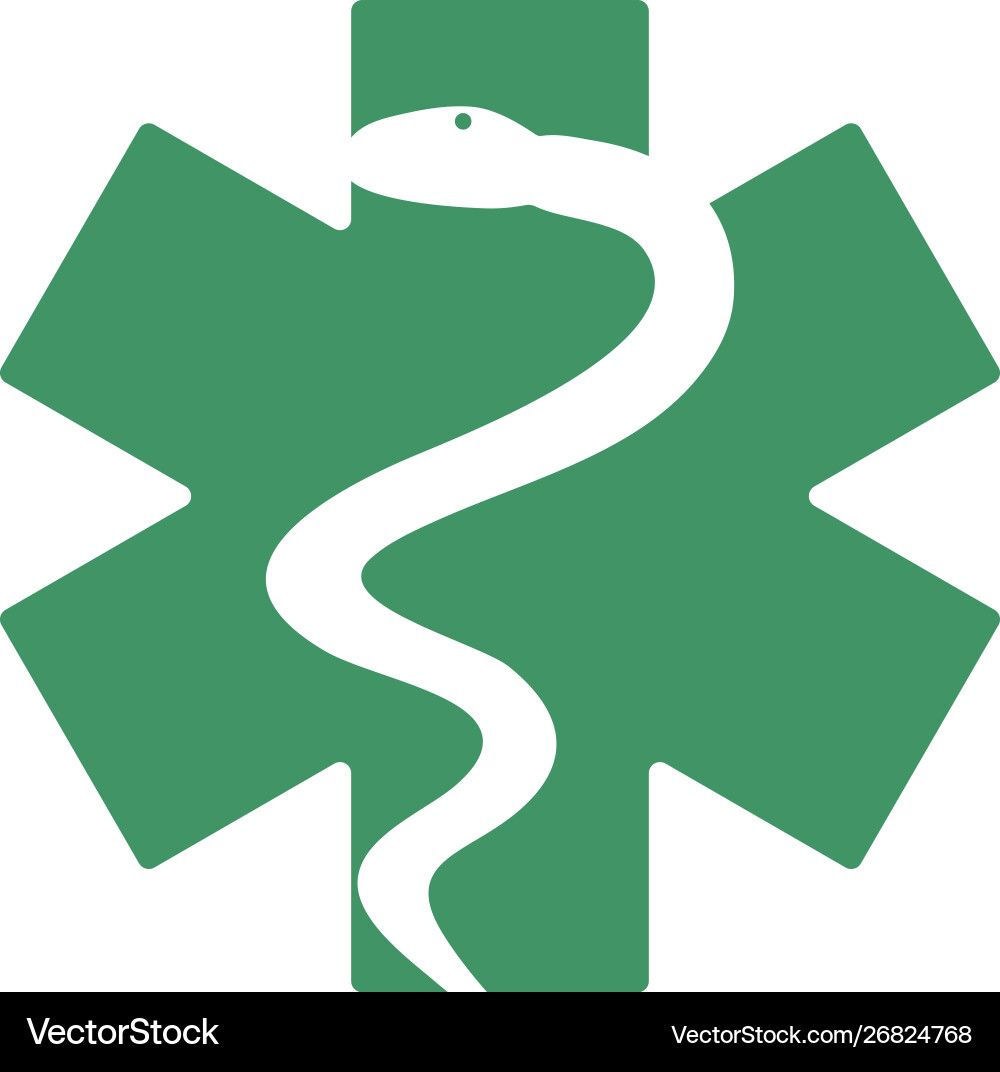 Medical snake graphic design template isolated Vector Image