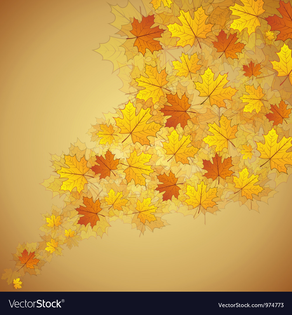 Autumn maple leaves stream Royalty Free Vector Image