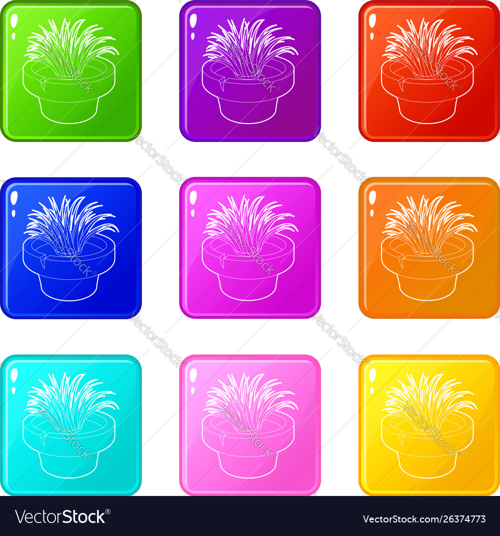 Home plant icons set 9 color collection Royalty Free Vector