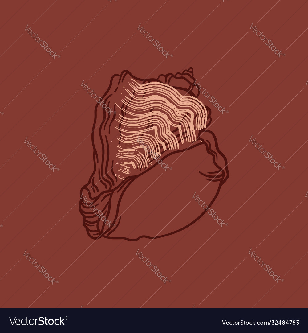 Hand drawn flat shell creative Royalty Free Vector Image