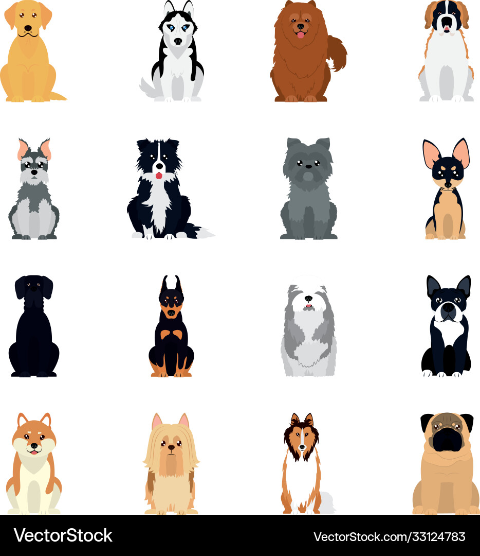Icon set collie and dogs flat style Royalty Free Vector