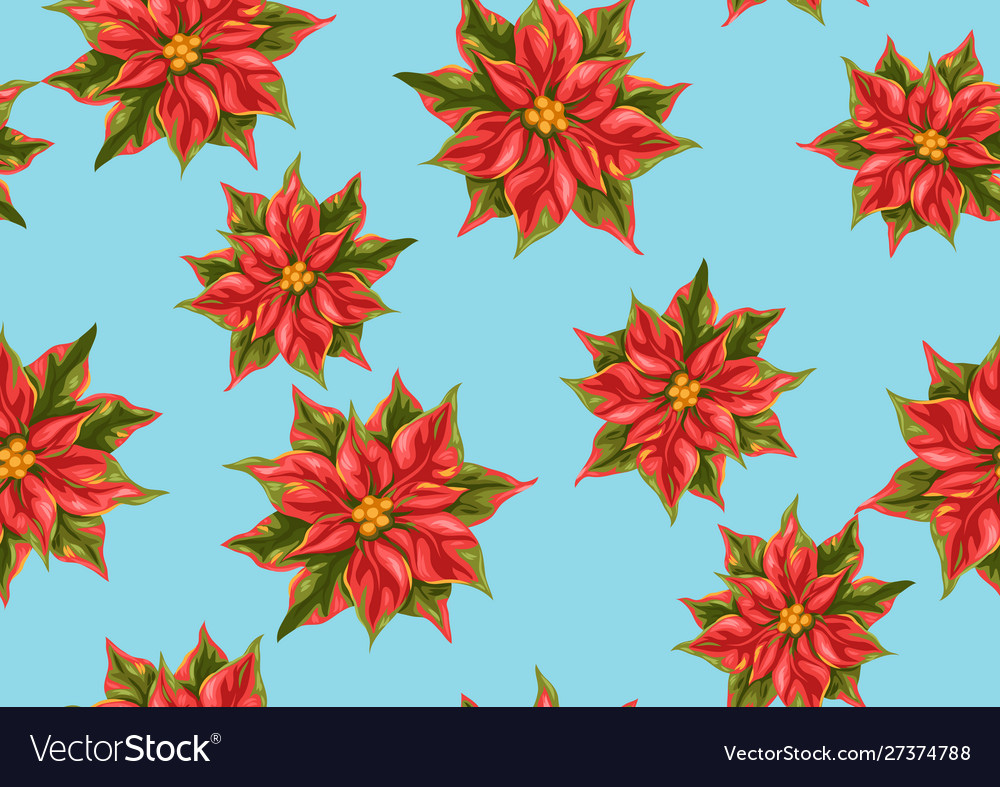 Seamless pattern with poinsettia flowers Vector Image
