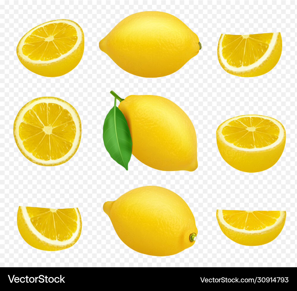 Lemons collection realistic picture citrus Vector Image