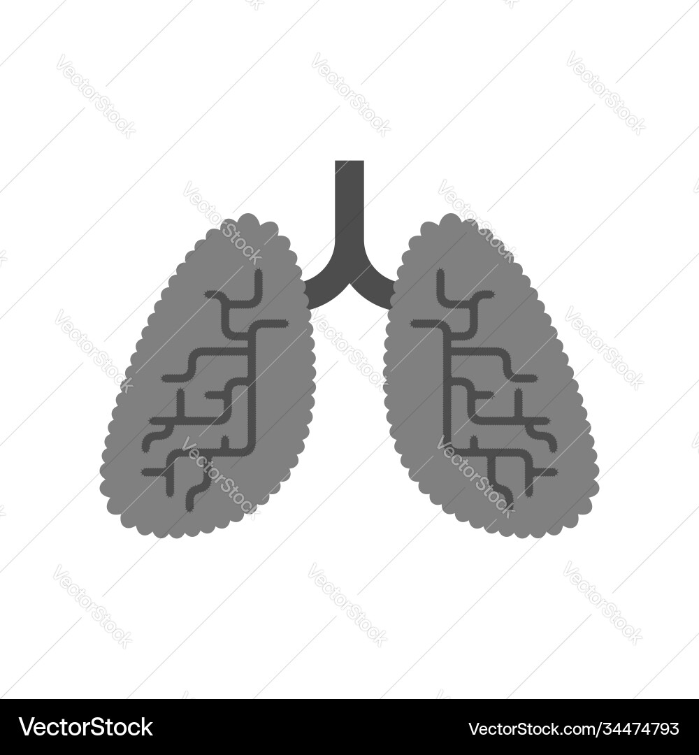 Lungs smoker sick internal organ respiratory Vector Image